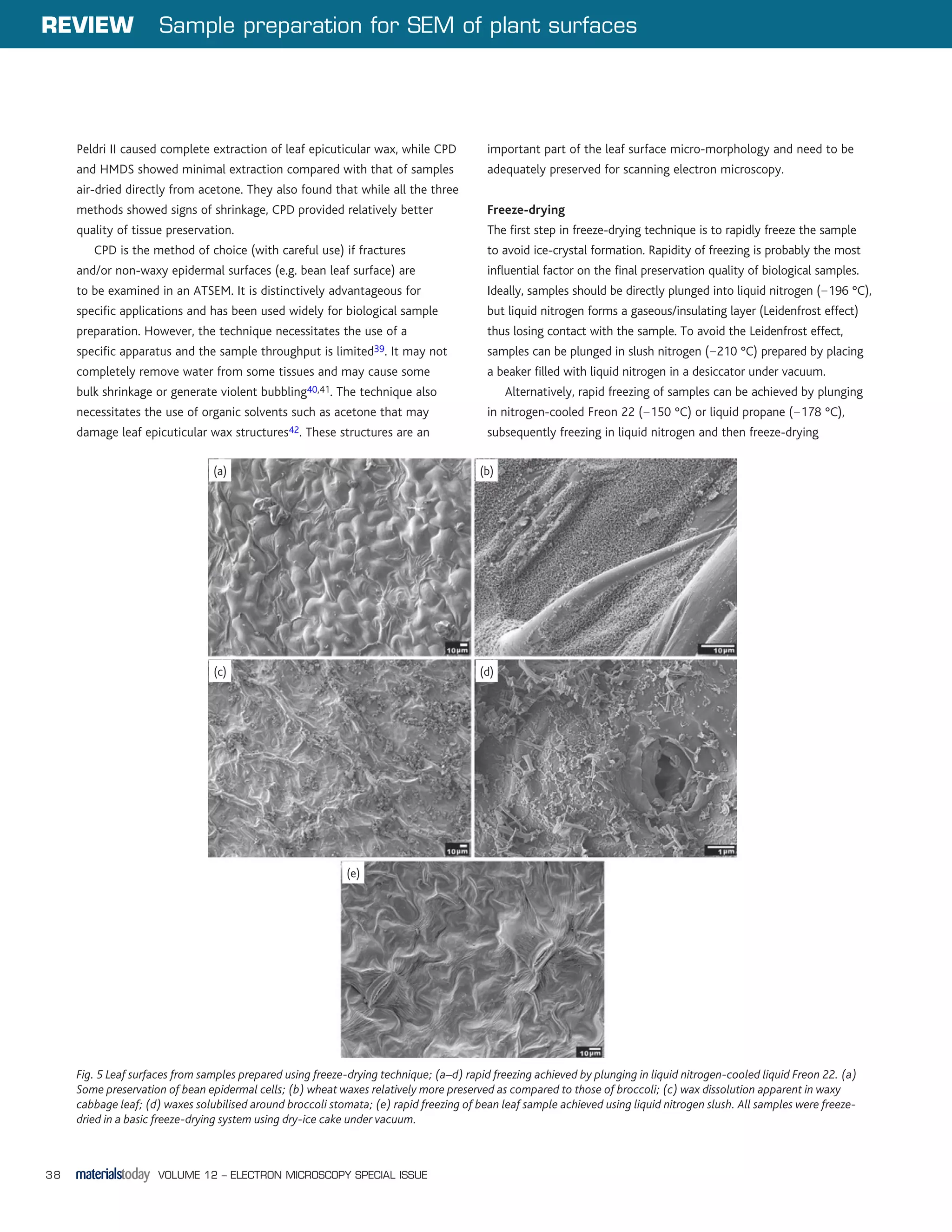 sample preparation of sem for plant smaples | PDF