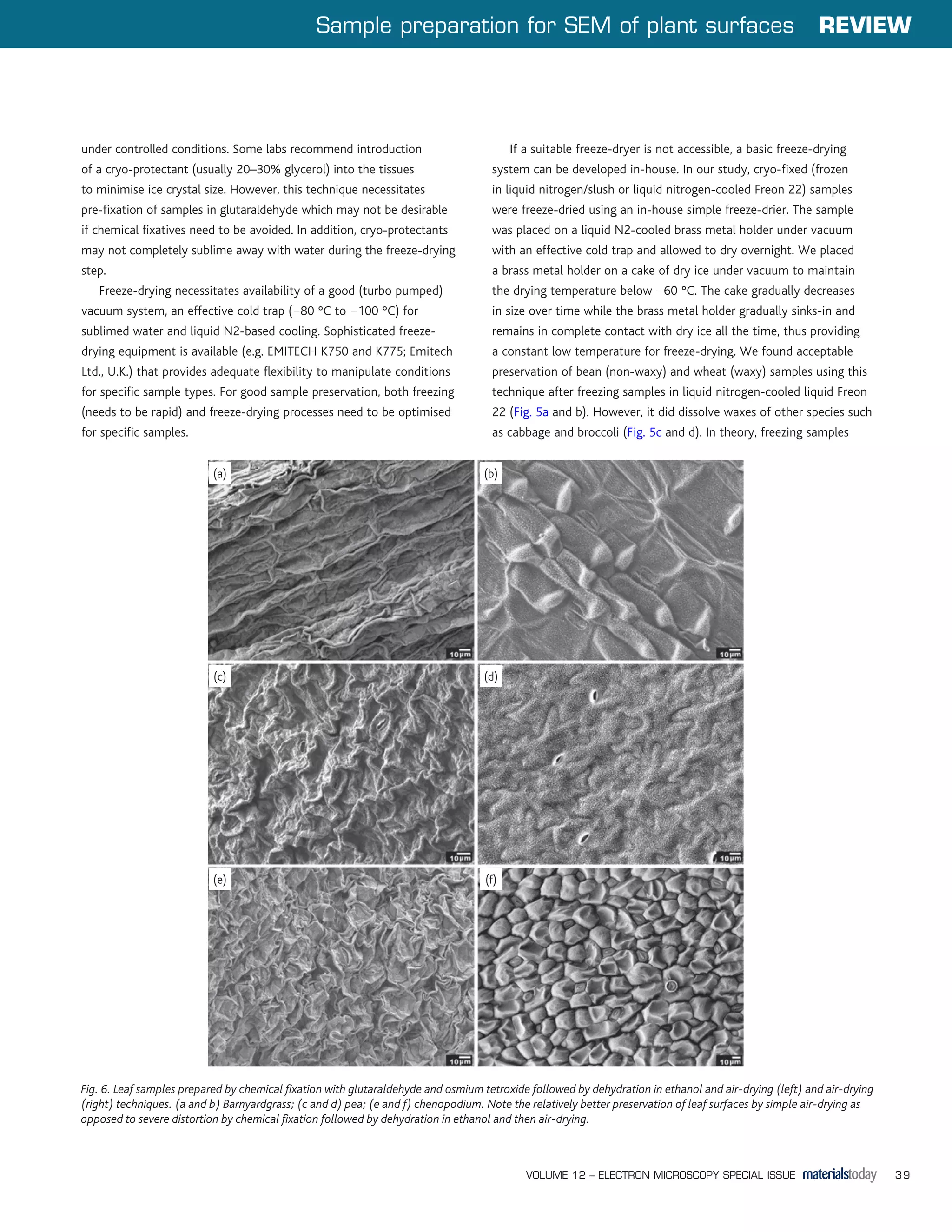 sample preparation of sem for plant smaples | PDF
