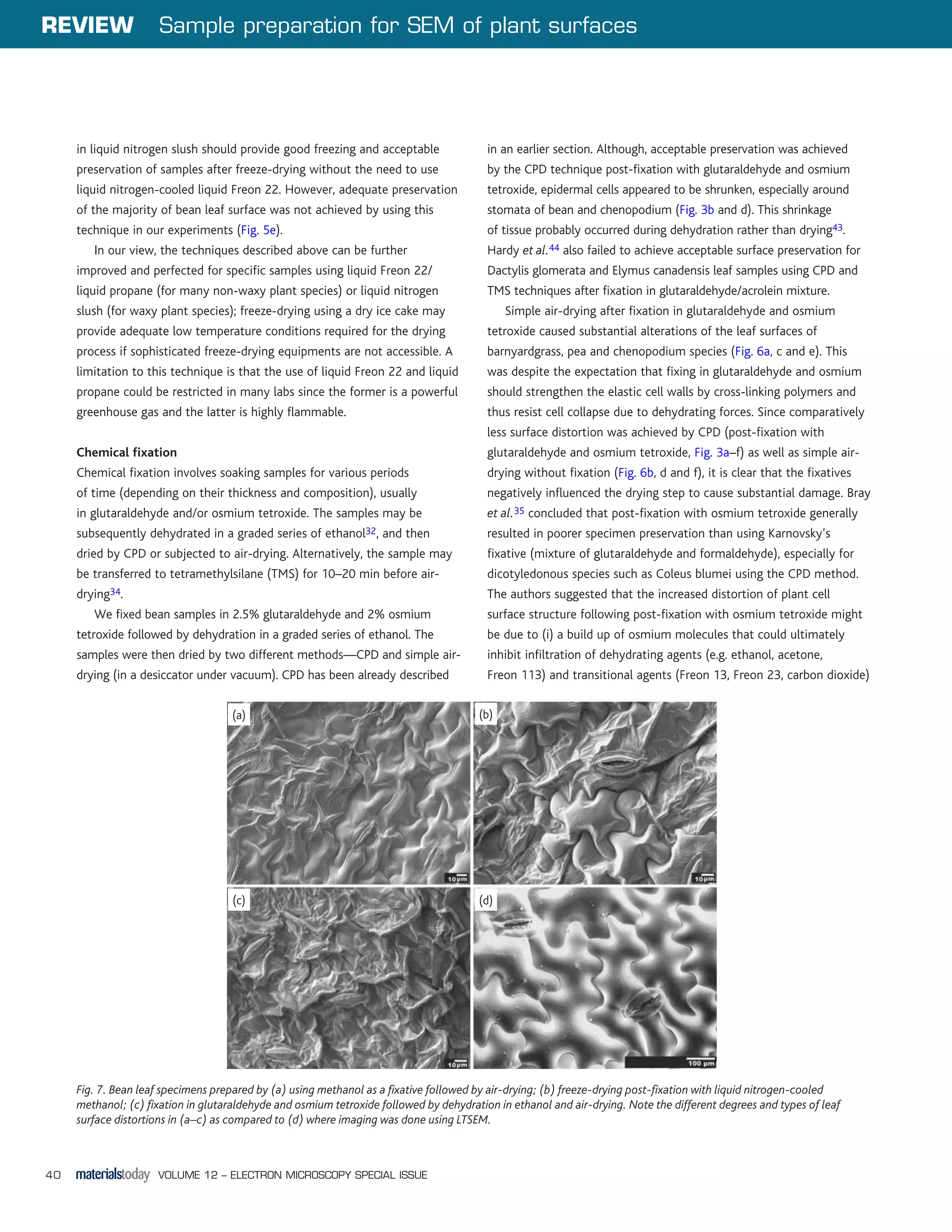 sample preparation of sem for plant smaples | PDF