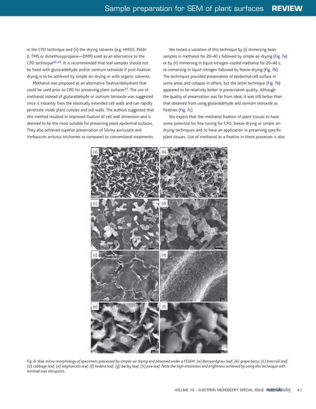 sample preparation of sem for plant smaples | PDF