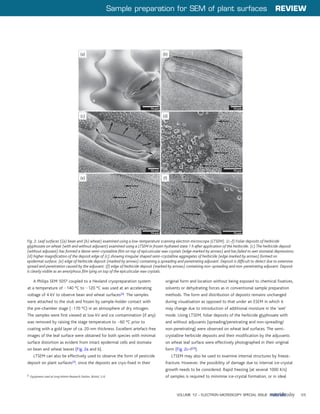 sample preparation of sem for plant smaples | PDF