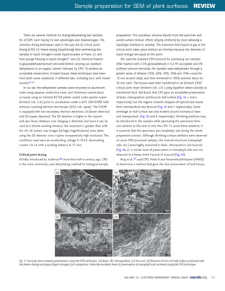 sample preparation of sem for plant smaples | PDF