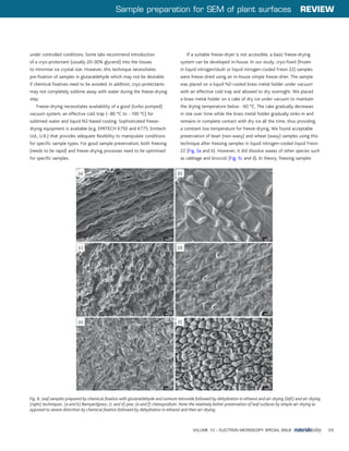 sample preparation of sem for plant smaples | PDF
