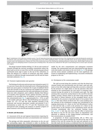 Bioremediation of diesel from a rocky shoreline in an arid tropical ...