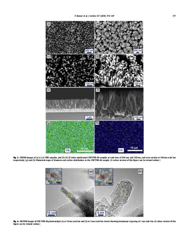 Arrays of TiO2 nanorods embedded with fluorine doped carbon nitride q…