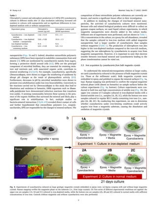 Iron acquisition and mineral transformation by cyanobacteria living in ...
