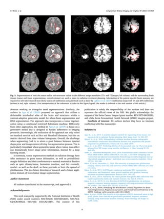 Medical image procesing | PDF