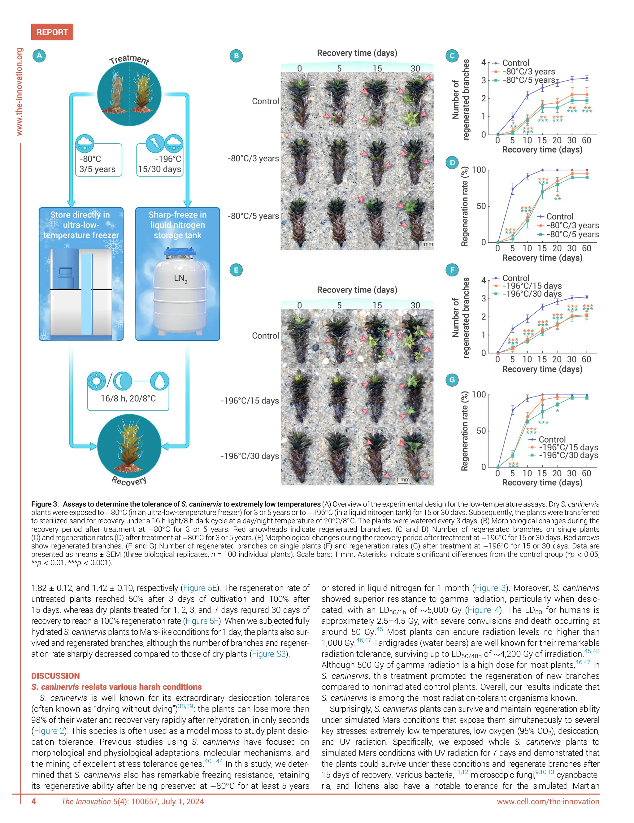 The extremotolerant desert moss Syntrichia caninervis is a promising ...