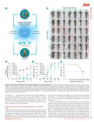 The extremotolerant desert moss Syntrichia caninervis is a promising ...