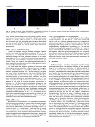 LIGNIN based drug delivery system for cancer therapy | PDF