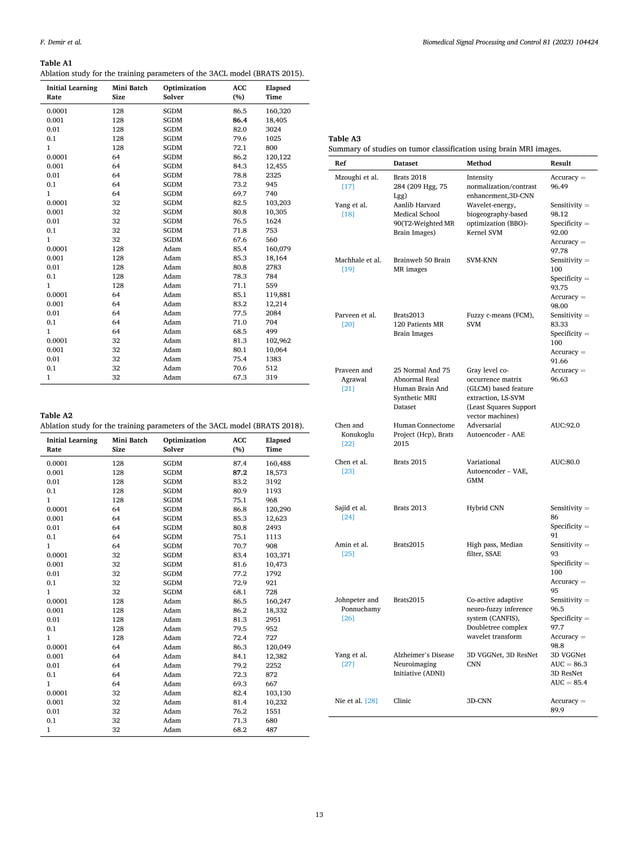 Improving brain tumor classification performance with an effective ...