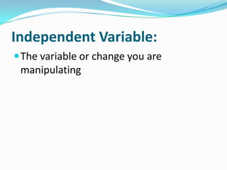 Scientific Method Notes | PPTX | Science