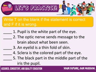 1 - SENSE OF SIGHT.pptx