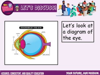 1 - SENSE OF SIGHT.pptx