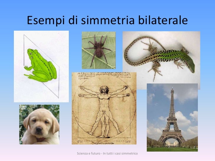 Incontro 2 - Le simmetrie