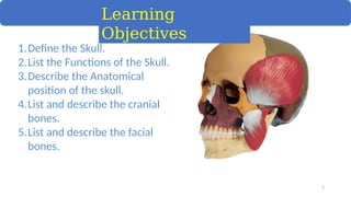 1-SKULL Lecture presentation with bones & attachments | PPTX