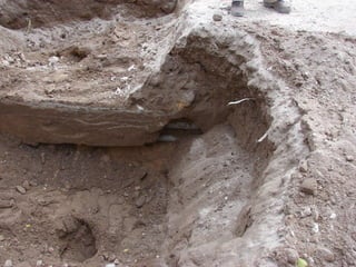 1 Soft Dig Pix | PPT