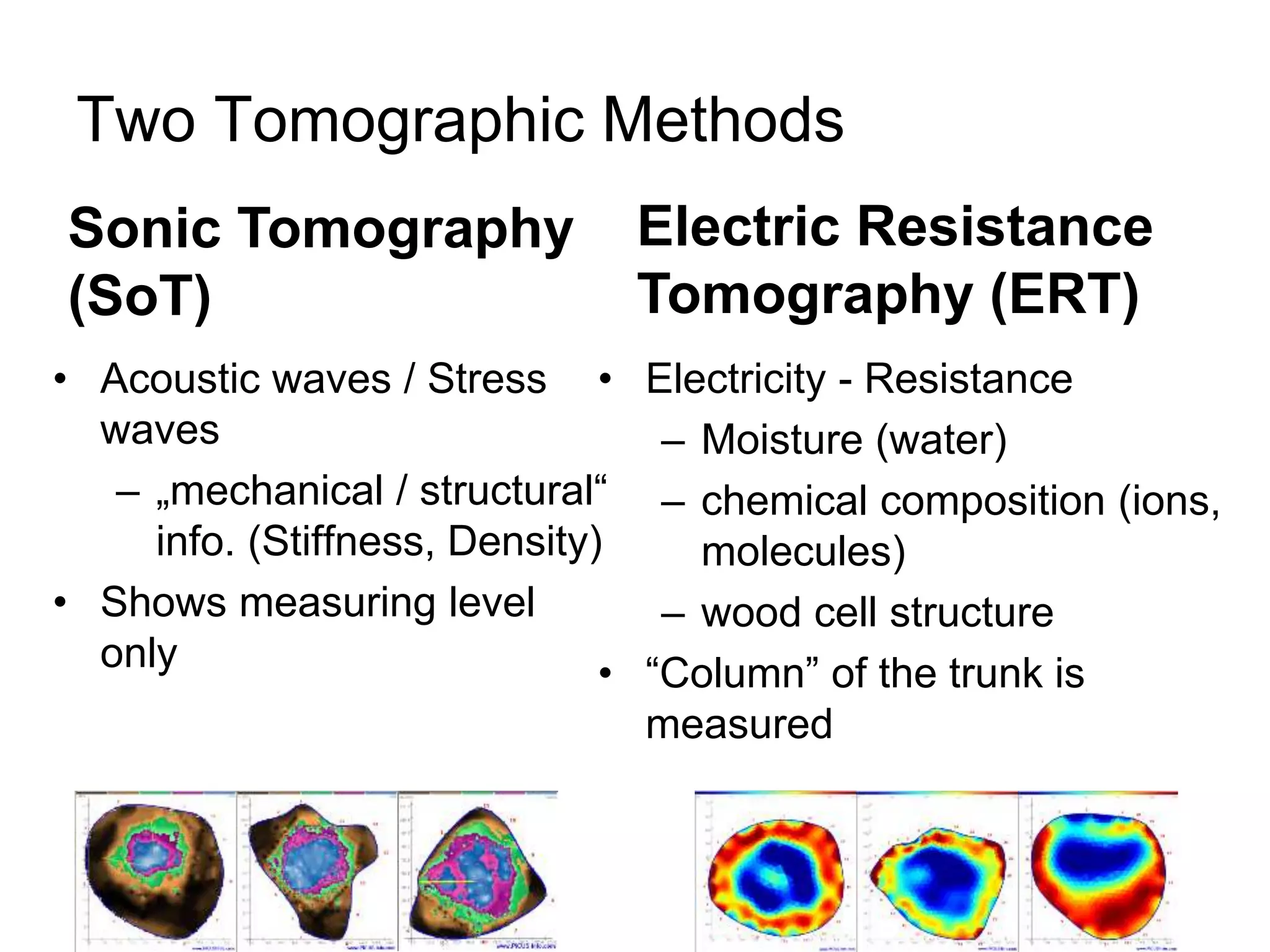 SONIC TOMOGRAPH EXPLANATION | PPTX