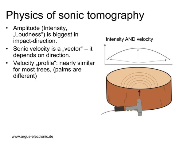SONIC TOMOGRAPH EXPLANATION | PPTX | Woodworking | Arts and Crafts