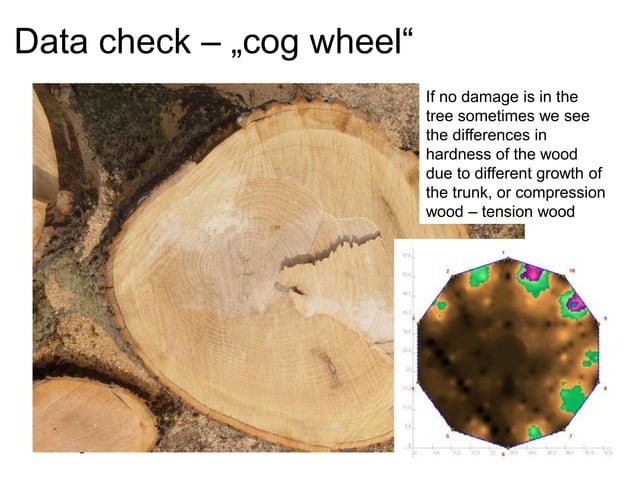 SONIC TOMOGRAPH EXPLANATION | PPTX | Woodworking | Arts and Crafts