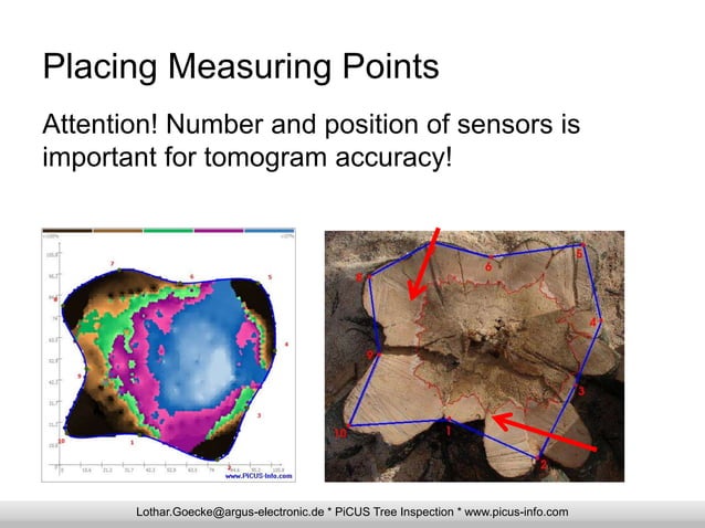 SONIC TOMOGRAPH EXPLANATION | PPTX | Woodworking | Arts and Crafts