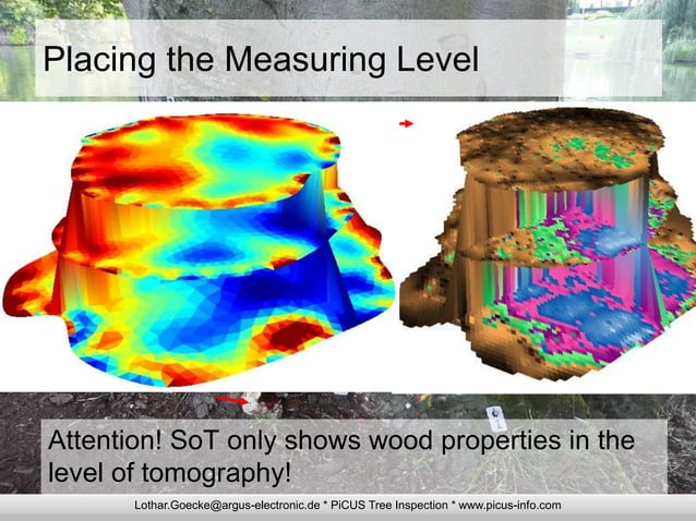 SONIC TOMOGRAPH EXPLANATION | PPTX | Woodworking | Arts and Crafts