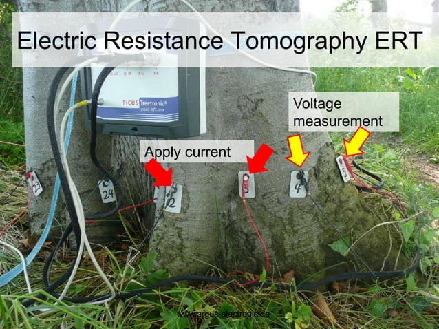 SONIC TOMOGRAPH EXPLANATION | PPTX | Woodworking | Arts and Crafts