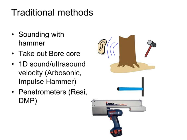 SONIC TOMOGRAPH EXPLANATION | PPTX | Woodworking | Arts and Crafts