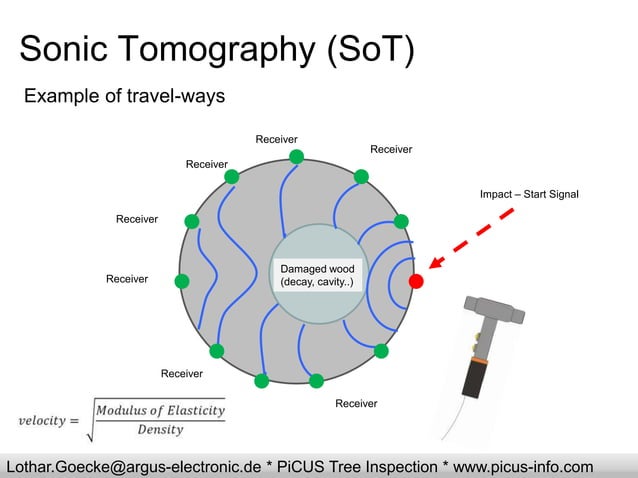 SONIC TOMOGRAPH EXPLANATION | PPTX | Woodworking | Arts and Crafts
