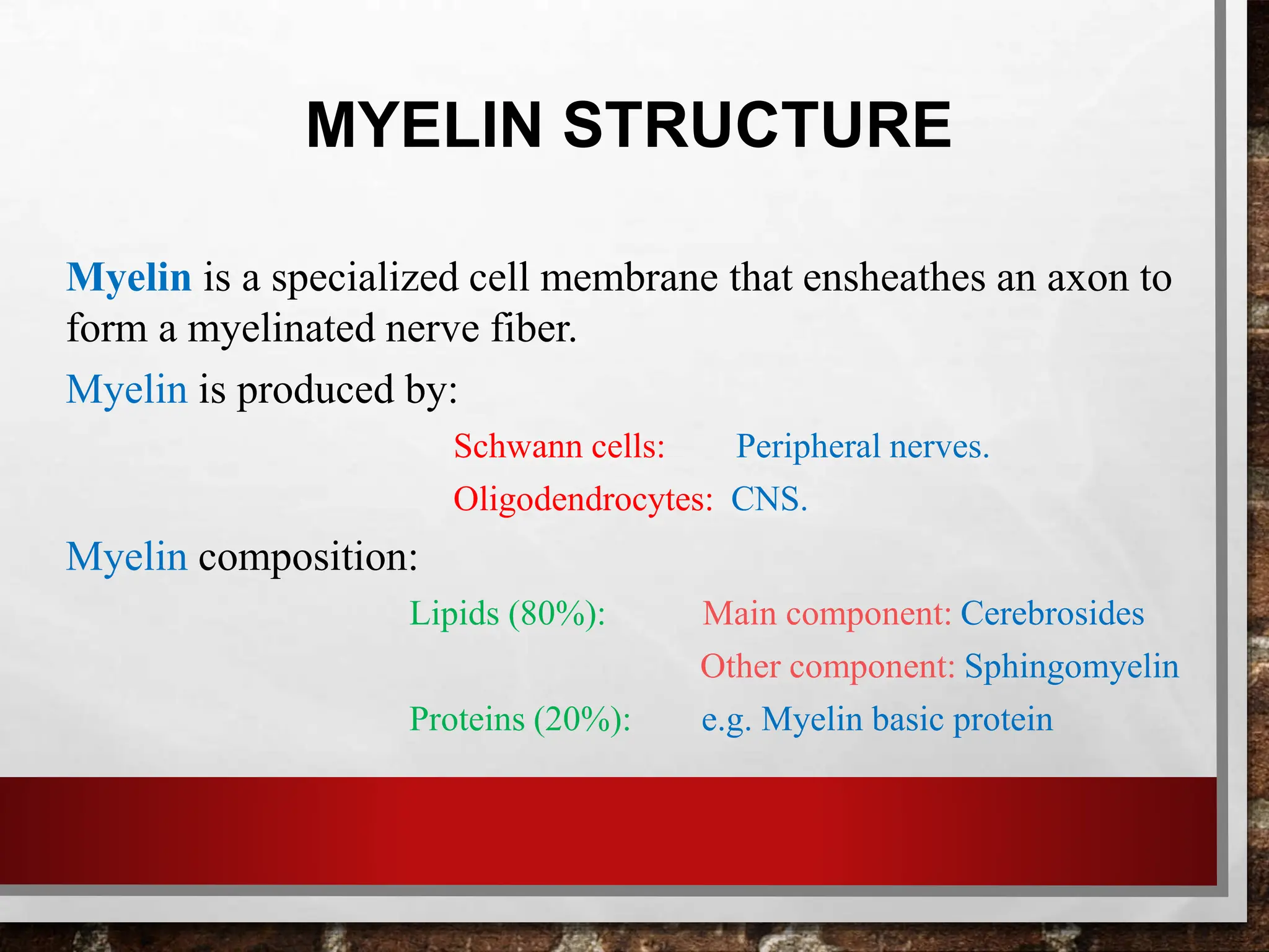 1-Sphingolipids and Myelin structure.ppt