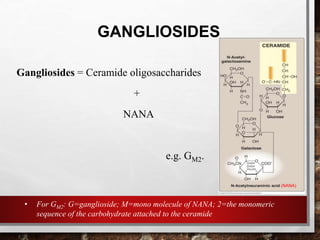1-Sphingolipids and Myelin structure.ppt