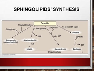 1-Sphingolipids and Myelin structure.ppt