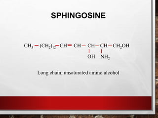 1-Sphingolipids and Myelin structure.ppt