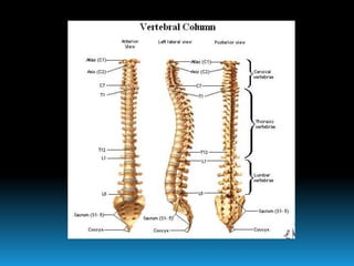 1- spine and brase techniques has specific indications, procedures, and ...