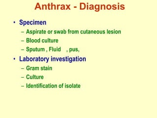 1 spore-forming gram-positive bacilli 2014 | PPTX