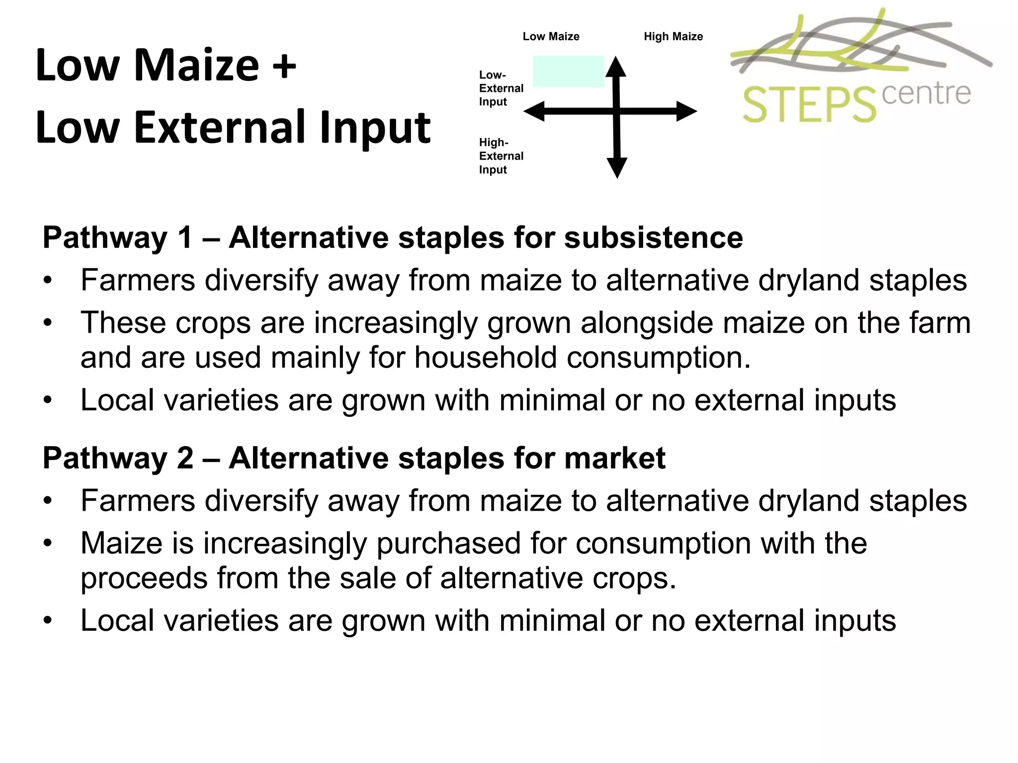 Maize Pathways workshop presentation 1: Overview slides | PPT