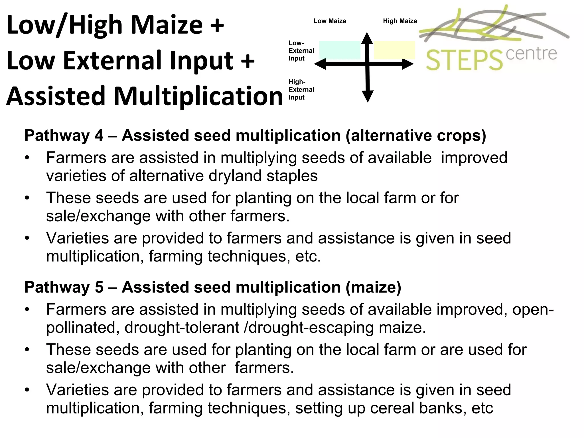 Maize Pathways workshop presentation 1: Overview slides | PPT