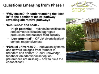 Maize Pathways workshop presentation 1: Overview slides | PPT ...