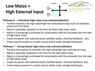 Maize Pathways workshop presentation 1: Overview slides | PPT