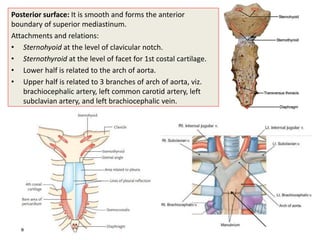 1-Sternum-Osteology- 1 & 2.pdf