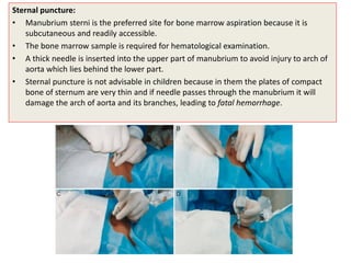 1-Sternum-Osteology- 1 & 2.pdf