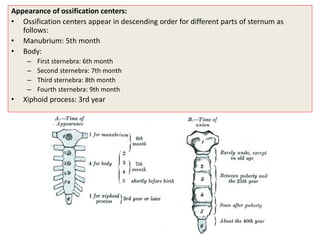 1-Sternum-Osteology- 1 & 2.pdf