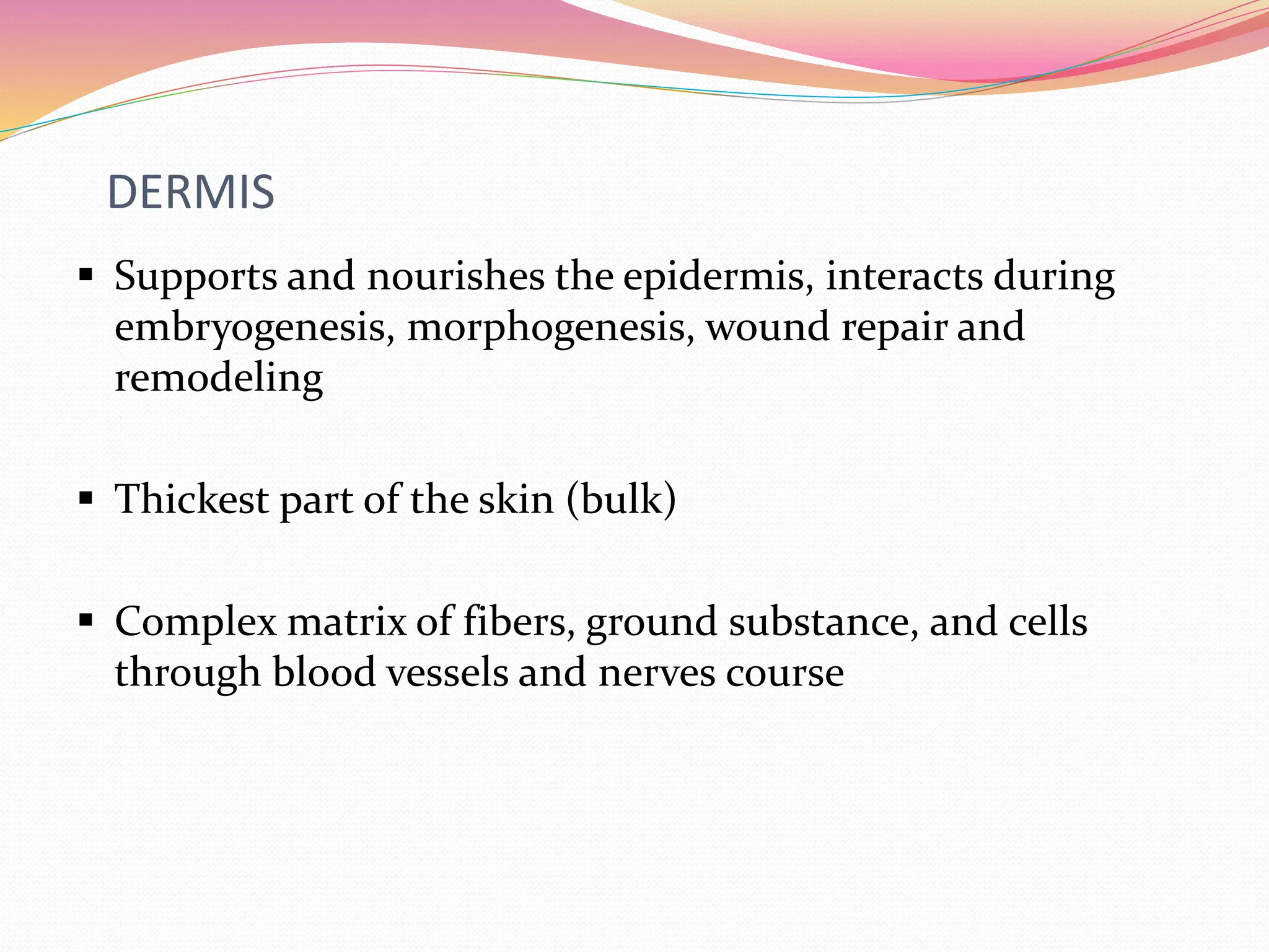 1_-Structure-And-Functions-Of-The-Skin.pdf