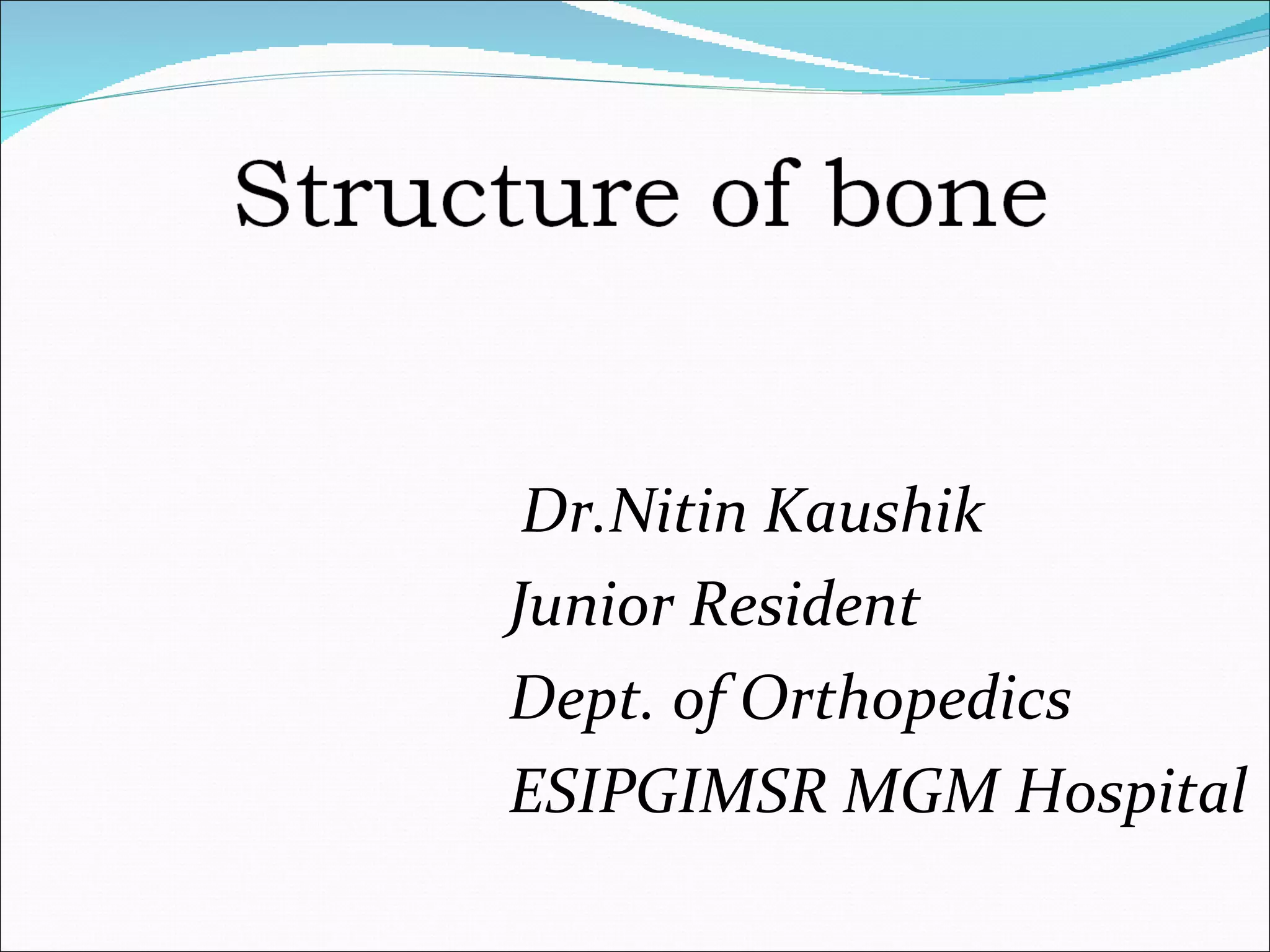 1.structure of bone | PPT