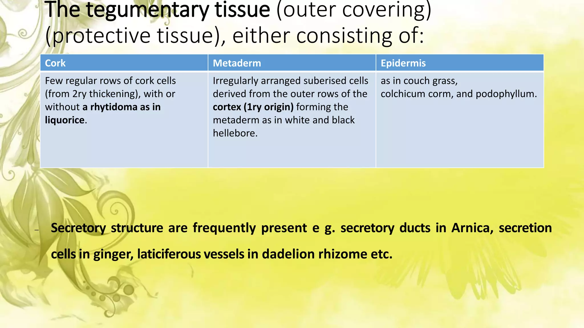 subterranean plant organs intro | PPT