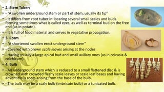 subterranean plant organs intro | PPT