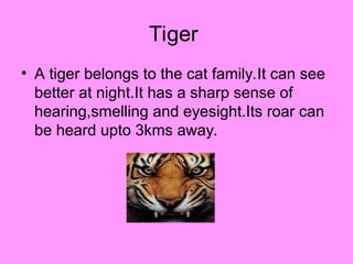 Animal Super Senses Lesson 1 Interesting | PPT