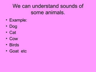 Animal Super Senses Lesson 1 Interesting | PPT