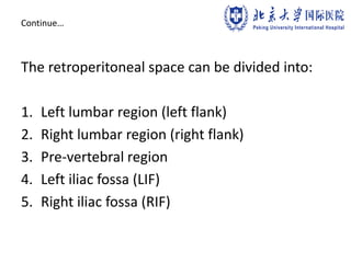 1- Surgical Anatomy of the Retroperitoneal & Pelvic Extraperitoneal ...