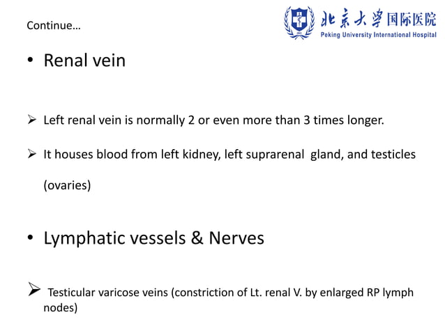 1- Surgical Anatomy of the Retroperitoneal & Pelvic Extraperitoneal ...